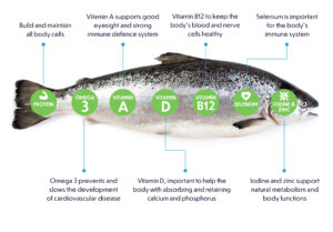 Discover Power of Salmon Nutrition Facts and Tips | Ocean Blue