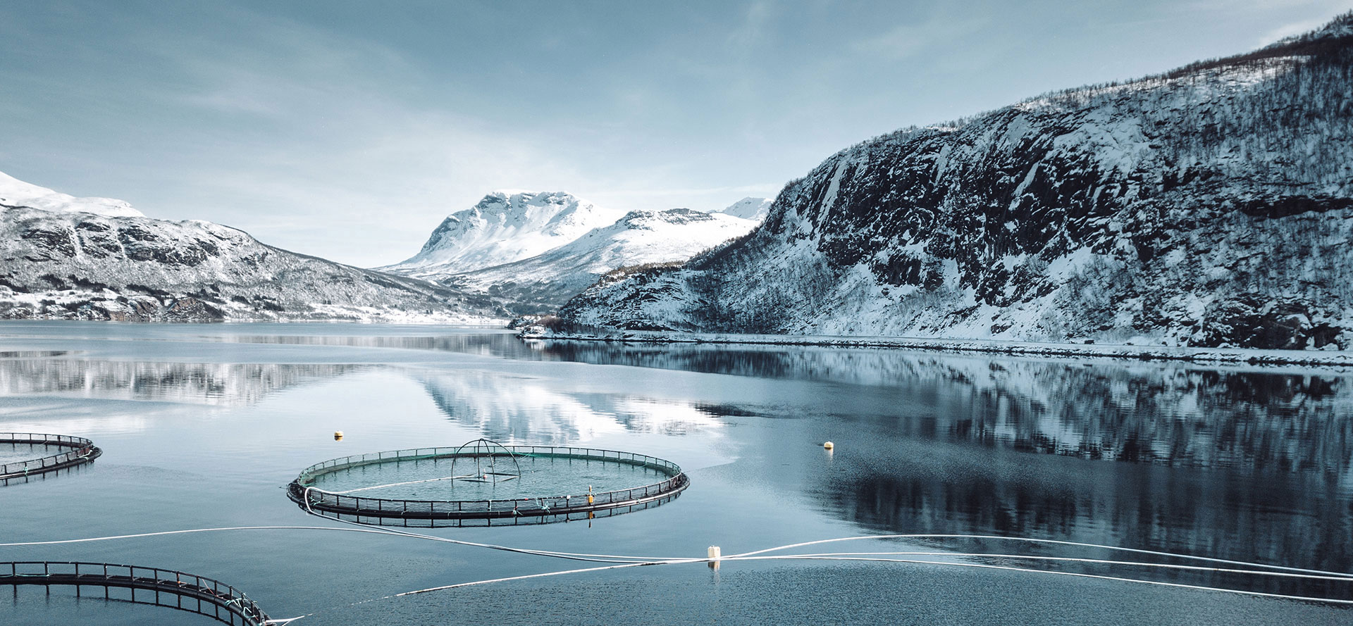 Savor the Taste of Sustainability | Ocean Blue